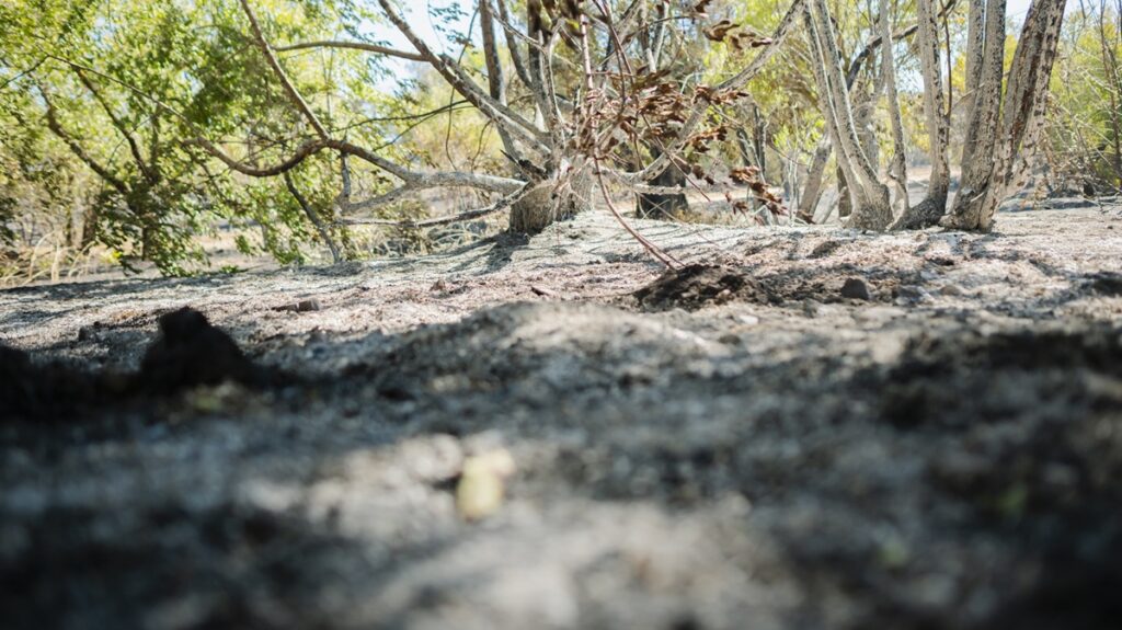 Incendio controlado en Méntrida - infoCLM
